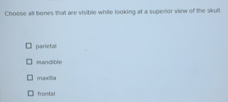 Solved: Choose all bones that are visible while looking at a superior ...