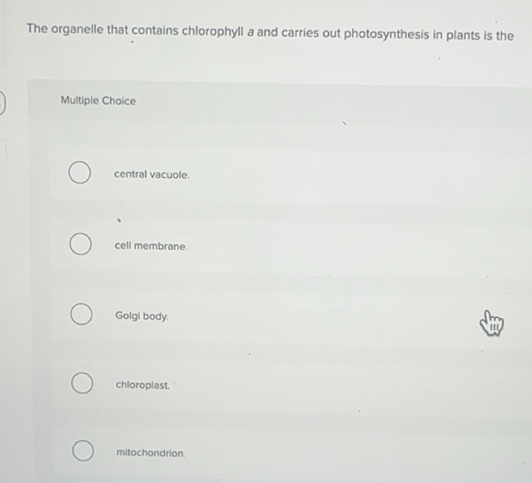 Solved: The organelle that contains chlorophyll a and carries out ...