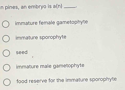 Solved: In pines, an embryo is a(n) _. immature female gametophyte ...