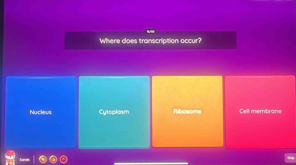 Solved: Where does transcription occur? Nucleus Cytoplasm Ribosome Cell ...