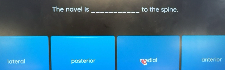 Solved: The navel is _to the spine. lateral posterior reedial anterior ...