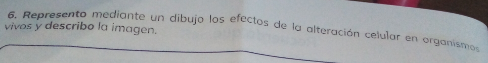 Resuelto:vivos y describo la imagen. 6. Represento mediante un dibujo ...