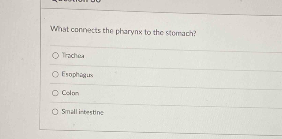 Solved: What connects the pharynx to the stomach? Trachea Esophagus ...