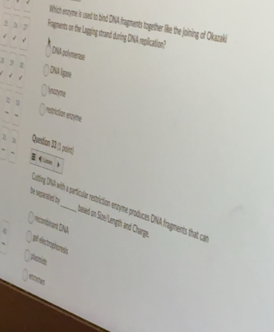 Solved: Which enzyme is used to bind DNA fragments together like the ...