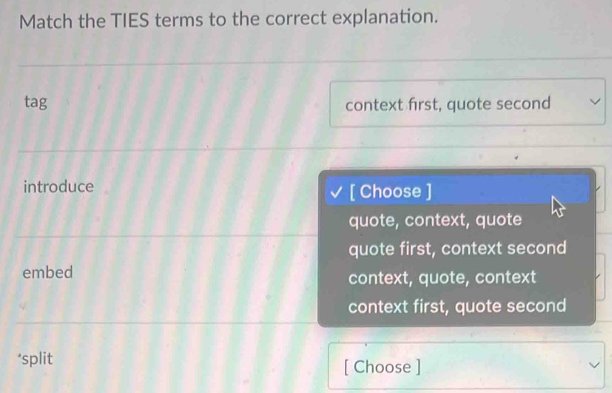 Solved: Match the TIES terms to the correct explanation. tag context ...