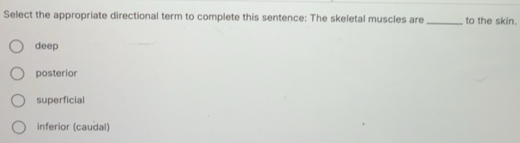 Solved: Select the appropriate directional term to complete this ...