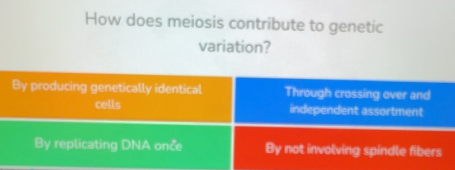 Solved: How does meiosis contribute to genetic variation? By producing ...