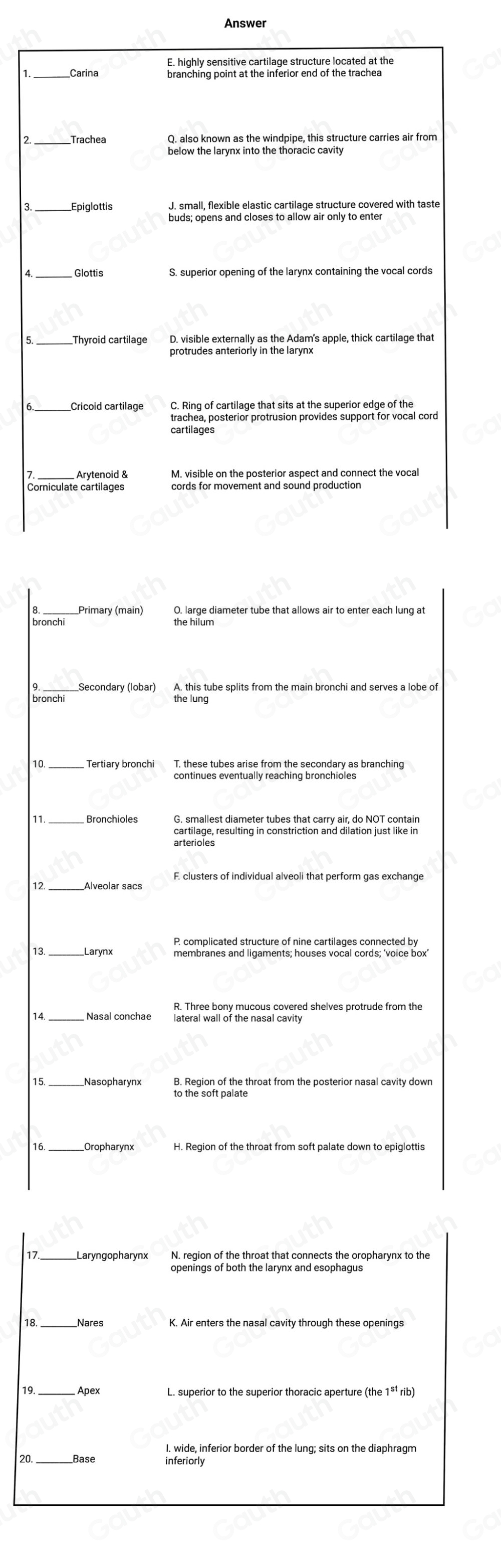 Solved: Match the respiratory system structure to its proper definition ...