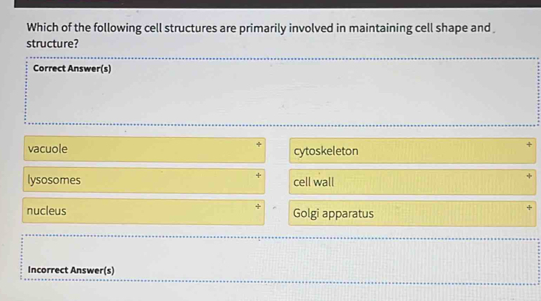 Solved: Which of the following cell structures are primarily involved in maintaining cell shape ...
