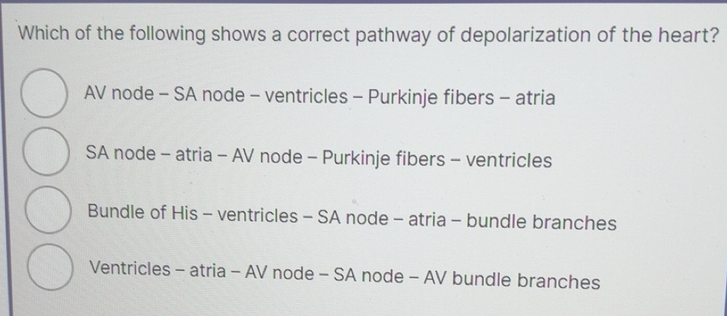 Solved: Which of the following shows a correct pathway of ...