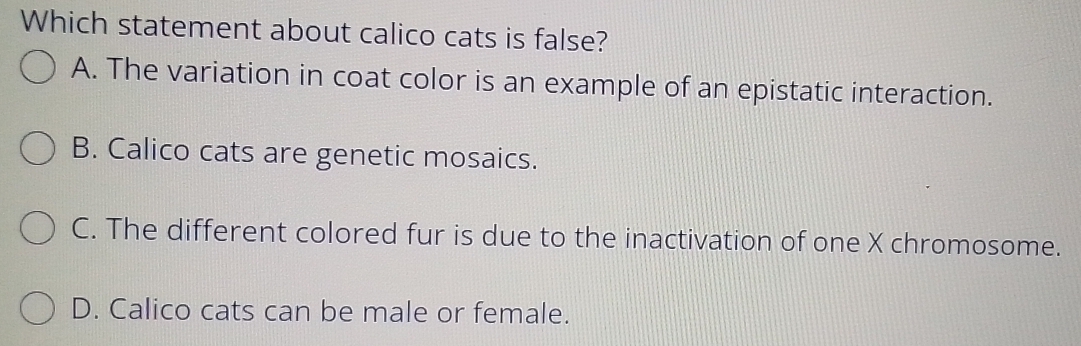 Solved: Which statement about calico cats is false? A. The variation in ...