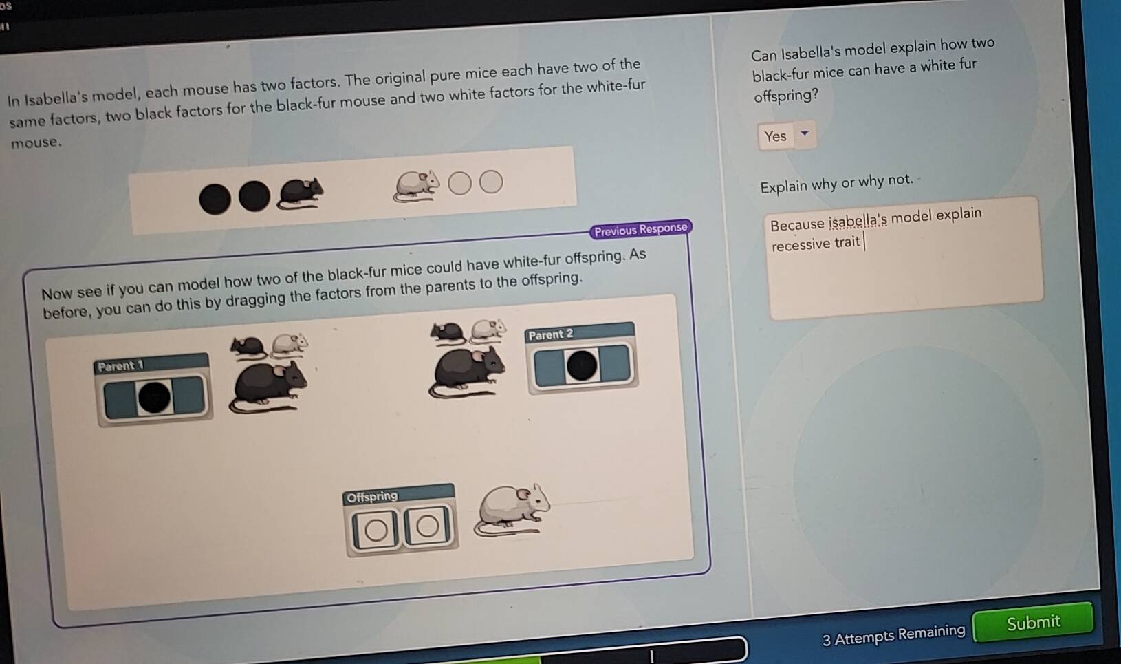 Solved: os n In Isabella's model, each mouse has two factors. The ...