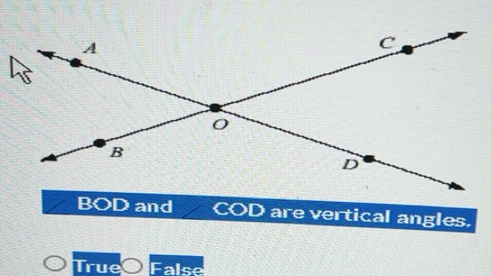 Solved: BOD and COD are vertical angles. True False [Math]