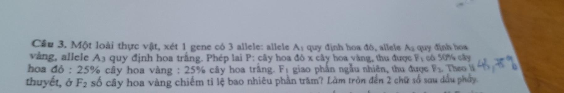 Giải quyết:Một loài thực vật, xét 1 gene có 3 allele: allele A_1 quy ...