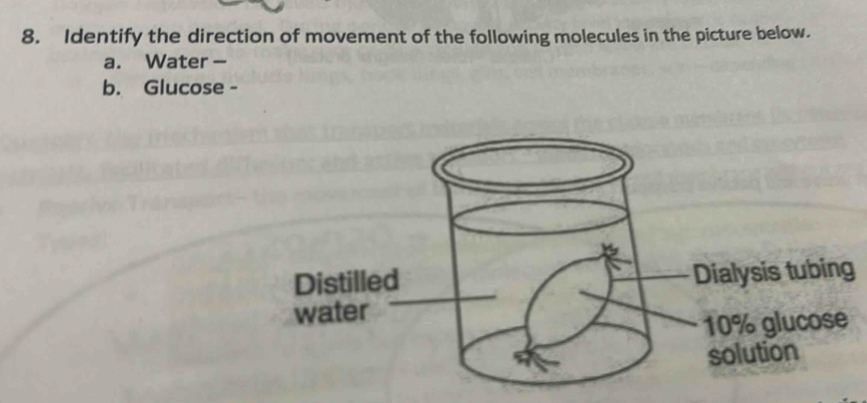 Solved: Identify the direction of movement of the following molecules ...