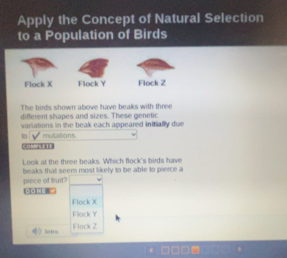 Gelöst:Apply the Concept of Natural Selection to a Population of Birds ...