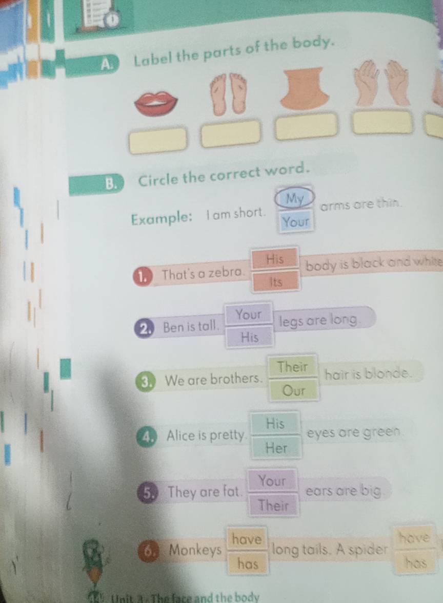 Resuelto:A Label the parts of the body. B Circle the correct word. My ...