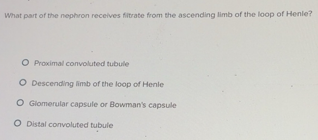 Solved: What part of the nephron receives filtrate from the ascending ...