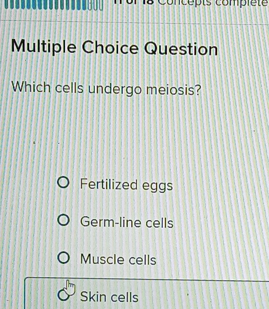 Solved: oncépts compiéte Multiple Choice Question Which cells undergo ...
