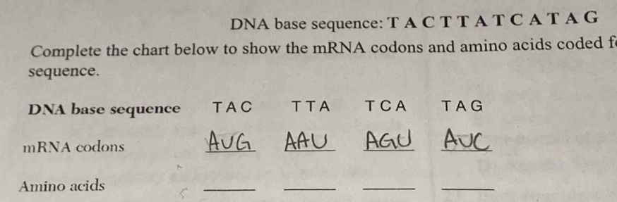 Solved: DNA base sequence: T A C T T A T C A T A G Complete the chart below to show the mRNA ...