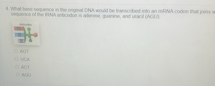 Solved: What base sequence in the original DNA would be transcribed ...