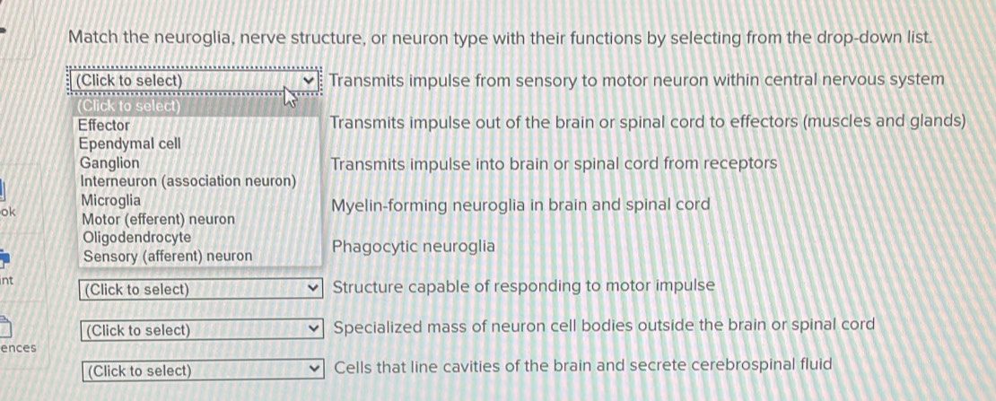 Solved: Match the neuroglia, nerve structure, or neuron type with their ...