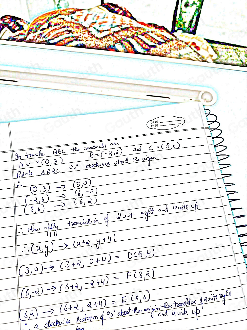 Solved: What series of transformations map ABC onto DEF to prove that ...