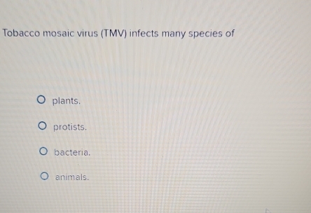 Solved: Tobacco mosaic virus (TMV) infects many species of plants ...