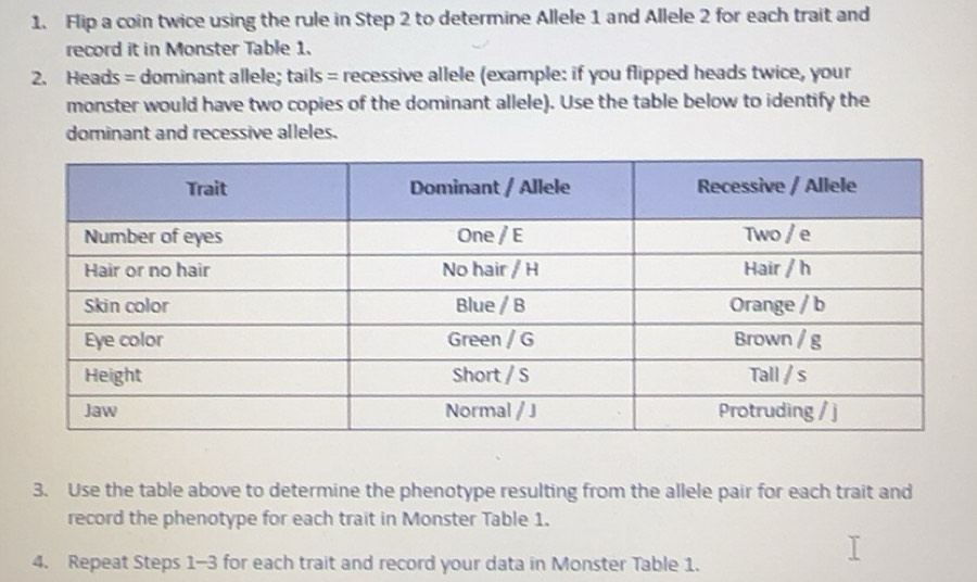 Solved: Flip a coin twice using the rule in Step 2 to determine Allele ...