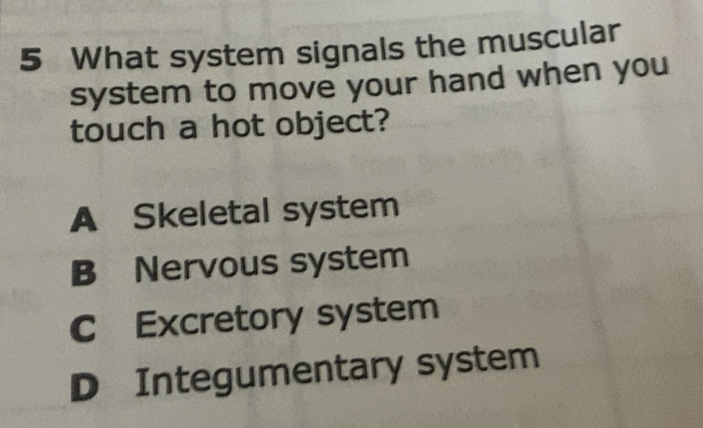 Gelöst:What system signals the muscular system to move your hand when ...