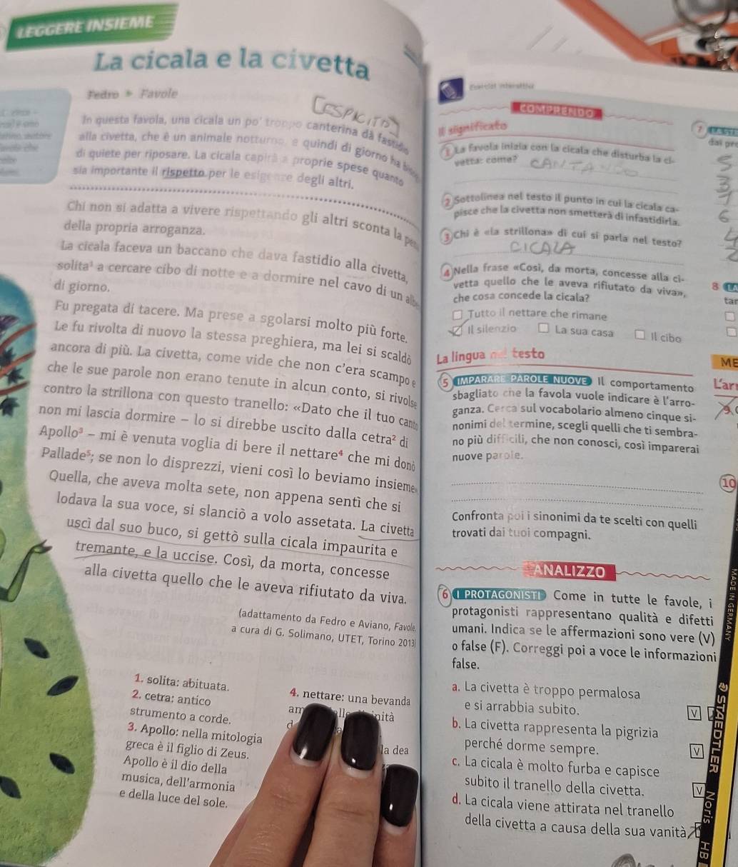 Risolto:LEGGERE INSIEME La cicala e la civetta a Fedro + Favole Eoercat ...