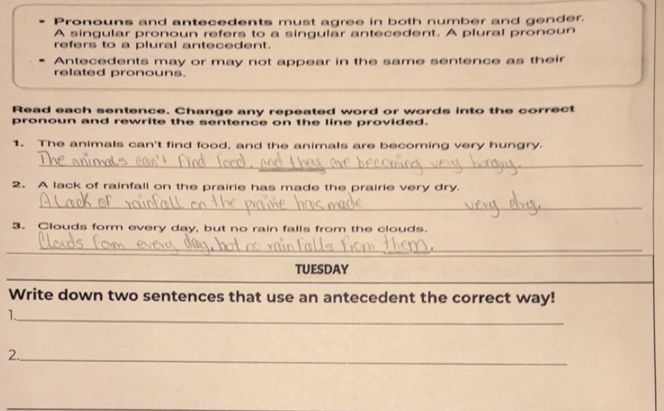 Solved: Pronouns and antecedents must agree in both number and gender ...