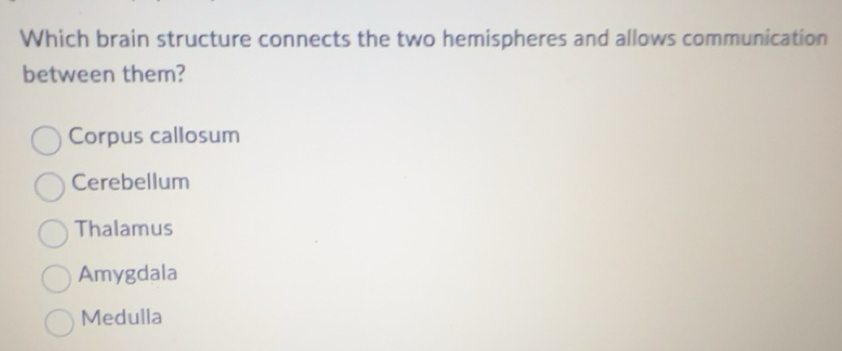 Solved: Which brain structure connects the two hemispheres and allows ...