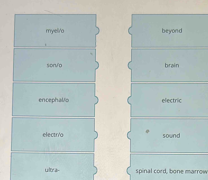 Solved: myel/o beyond son/o brain encephal/o electric electr/o sound ...