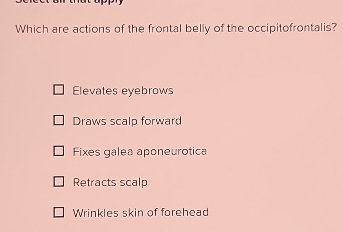 Solved: Which are actions of the frontal belly of the occipitofrontalis ...