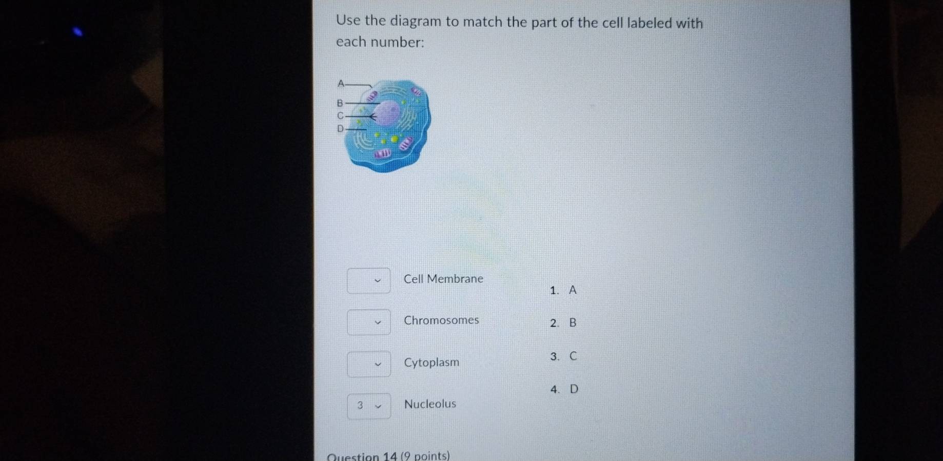 Solved: Use the diagram to match the part of the cell labeled with each ...