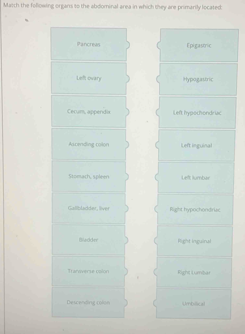 Solved: Match the following organs to the abdominal area in which they ...