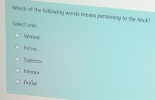 Solved: Which of the following words means pertaining to the back ...