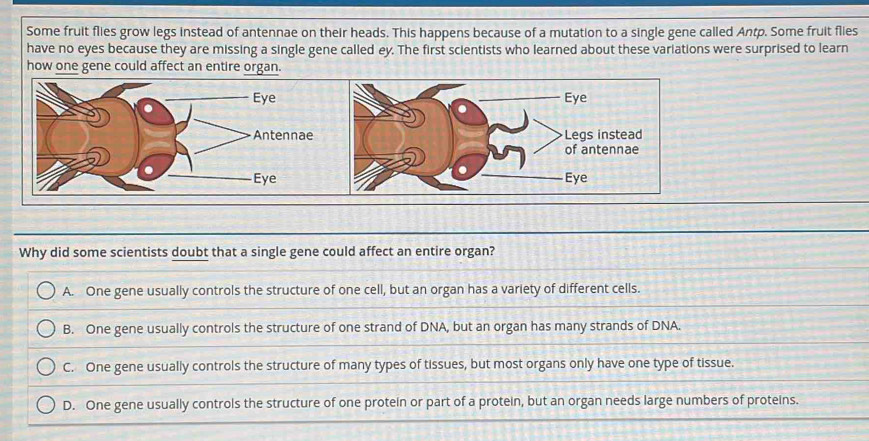Solved: Some fruit flies grow legs instead of antennae on their heads ...