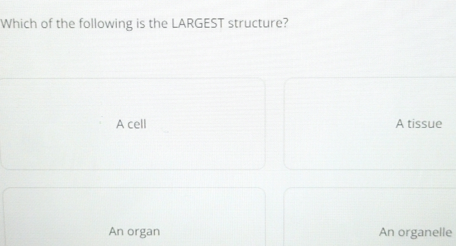 Solved: Which of the following is the LARGEST structure? A cell A ...