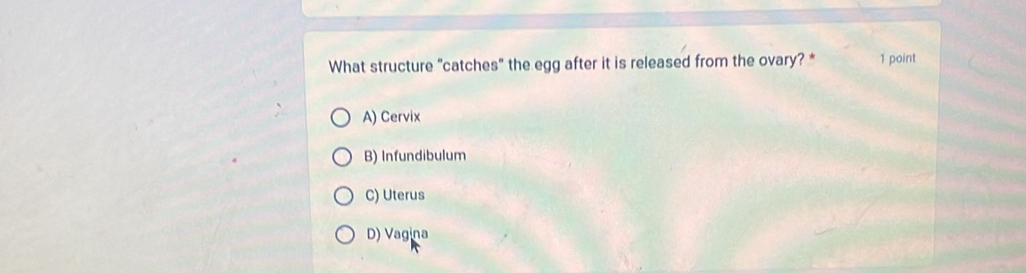Solved: What structure "catches" the egg after it is released from the ...