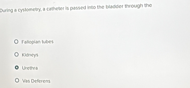 Solved: During a cystometry, a catheter is passed into the bladder ...