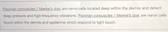 Solved: Pacinian corpuscles / Merkel's disk are nerve cells located ...
