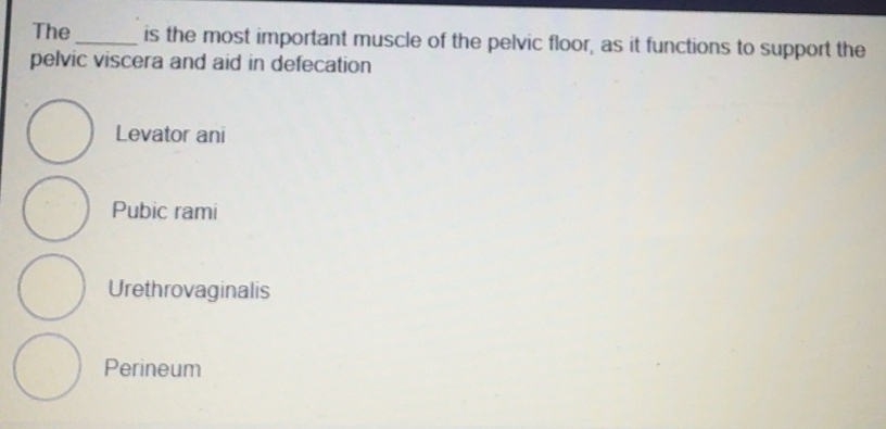Solved: The _is the most important muscle of the pelvic floor, as it ...