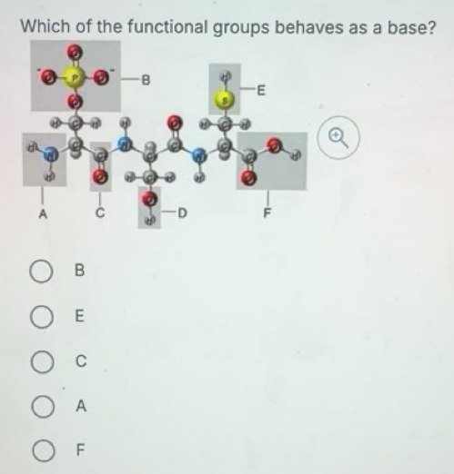 Gelöst:Which of the functional groups behaves as a base? B E C A F