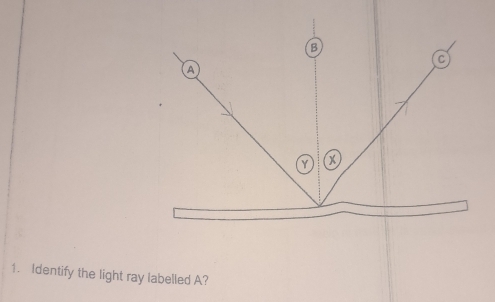 Solved: Identify the light ray labelled A? [Physics]