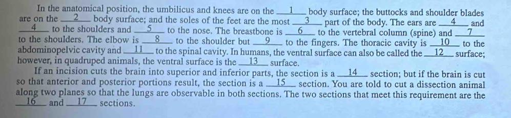 Solved: In the anatomical position, the umbilicus and knees are on the ...