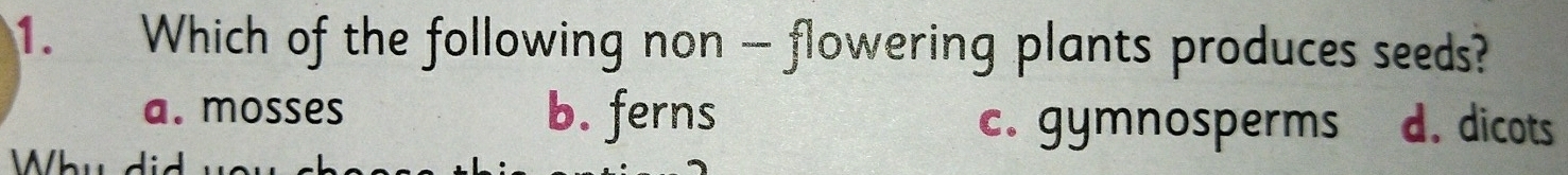 Solved: Which of the following non - flowering plants produces seeds? a ...