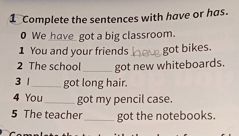 Risolto:Complete the sentences with have or has. 0 We have_ got a big ...