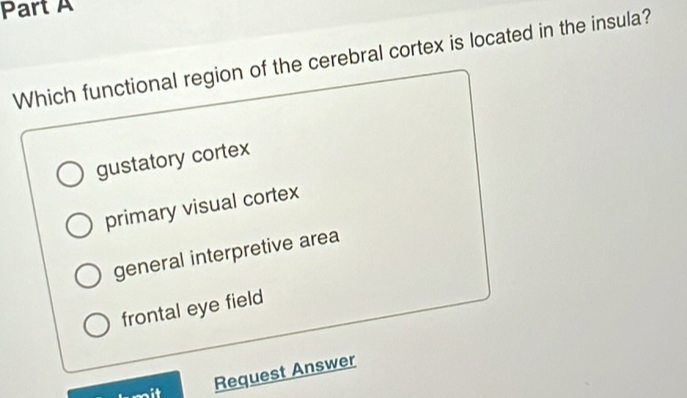 Solved: Which functional region of the cerebral cortex is located in ...